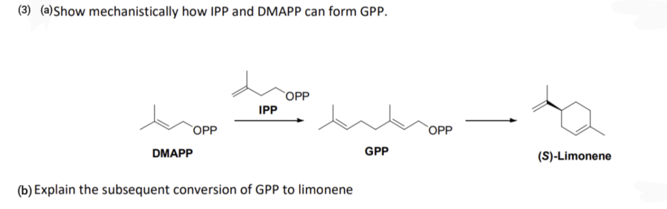 Solved (3) (a)Show mechanistically how IPP and DMAPP can | Chegg.com