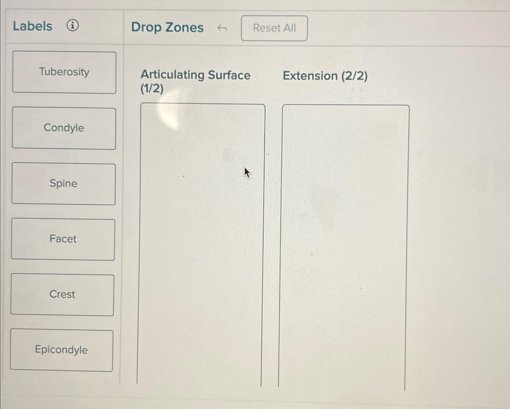 Solved drag each label into the proper position in order to | Chegg.com