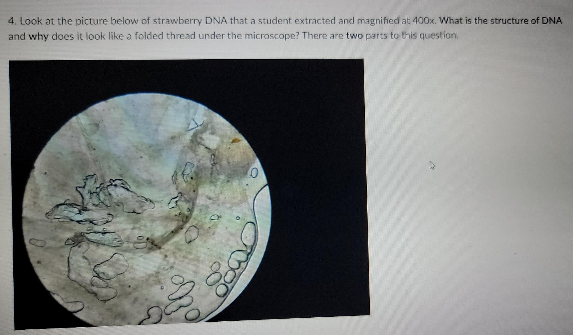 Solved a 4. Look at the picture below of strawberry DNA that | Chegg.com