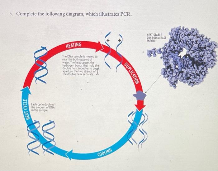 Solved 5. Complete the following diagram, which illustrates | Chegg.com