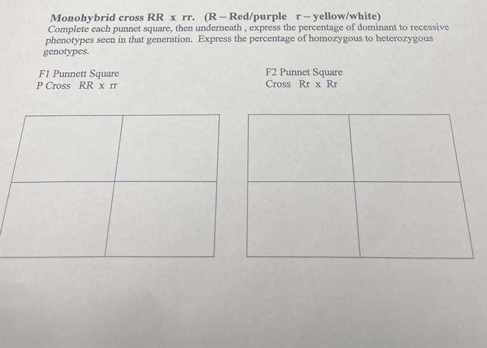 Solved Monohybrid cross RR × rr. ( R-Red/purple | Chegg.com