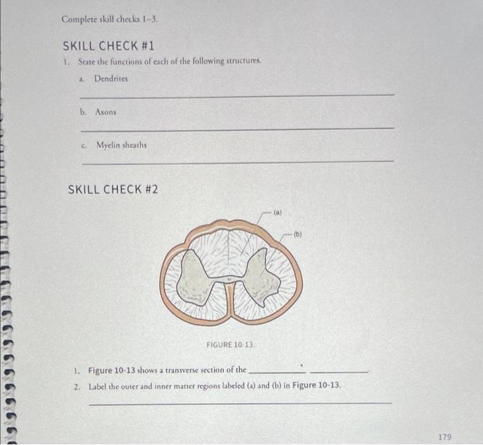 Solved Complete skill checks 1-3. SKILL CHECK #1 1. State | Chegg.com