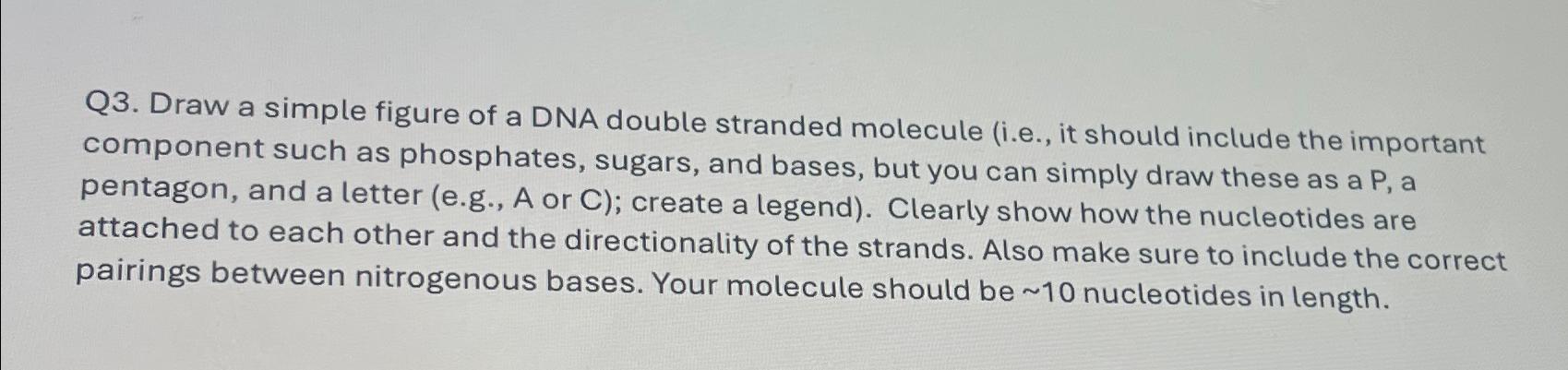 Solved Q3. ﻿Draw a simple figure of a DNA double stranded | Chegg.com