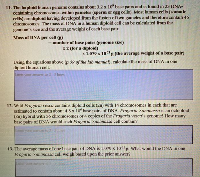 Solved 11. The haploid human genome contains about 3.2 x 10 | Chegg.com