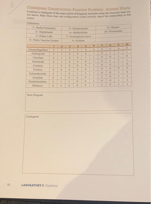 Solved Cladogram Construction Practice Problem: | Chegg.com
