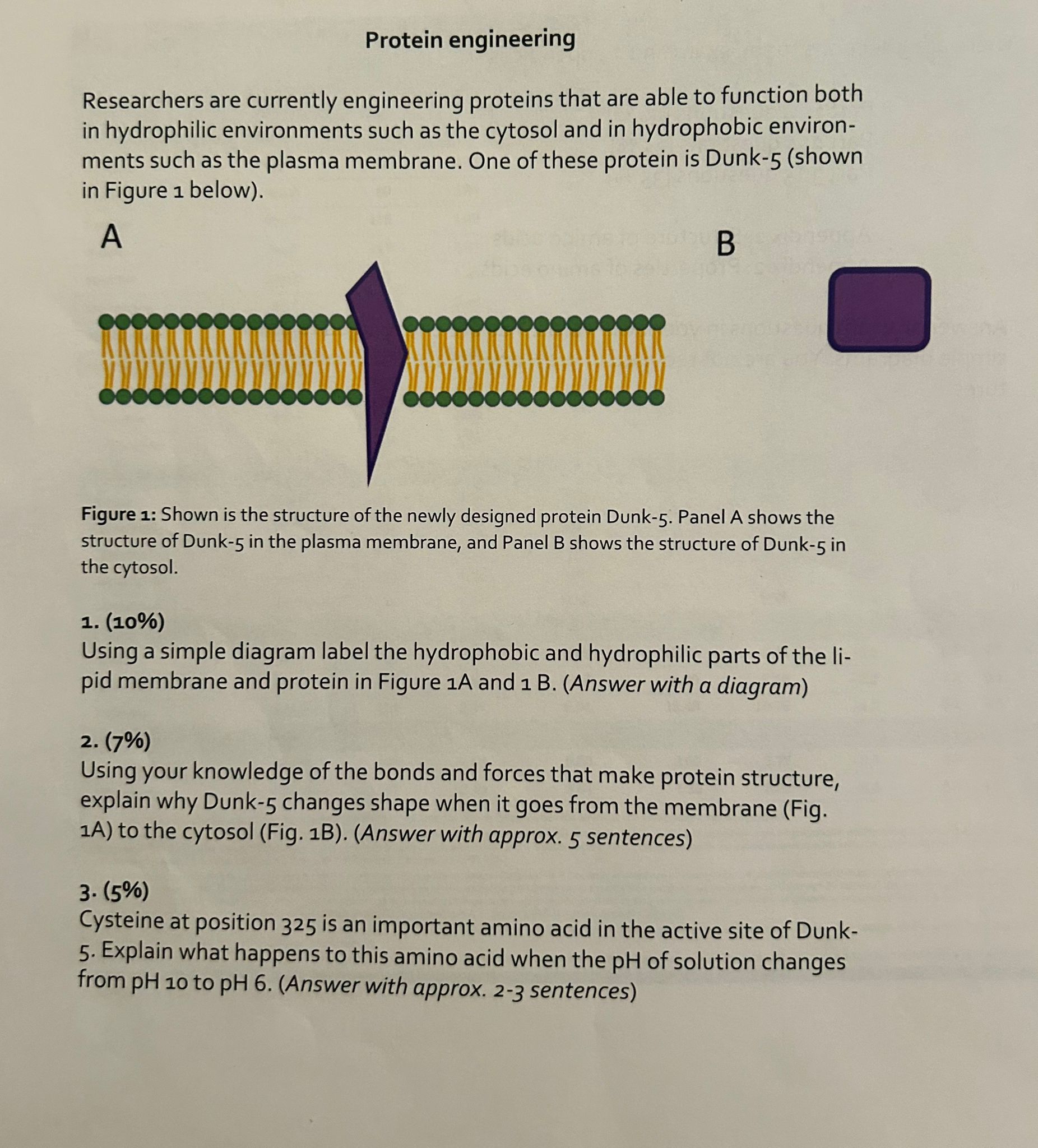 Solved Protein engineeringResearchers are currently | Chegg.com