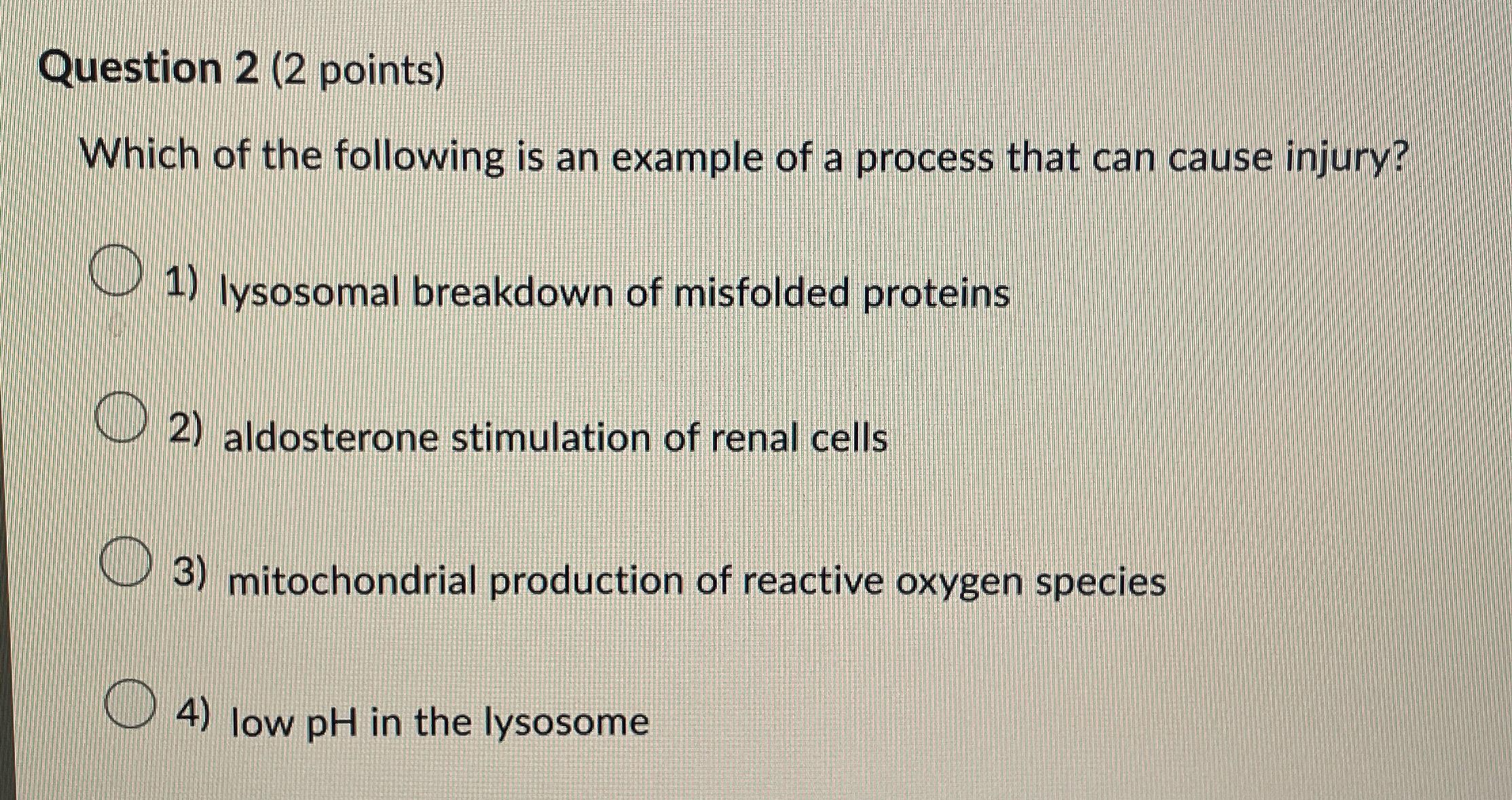 Solved Question 2 (2 ﻿points)Which of the following is an | Chegg.com