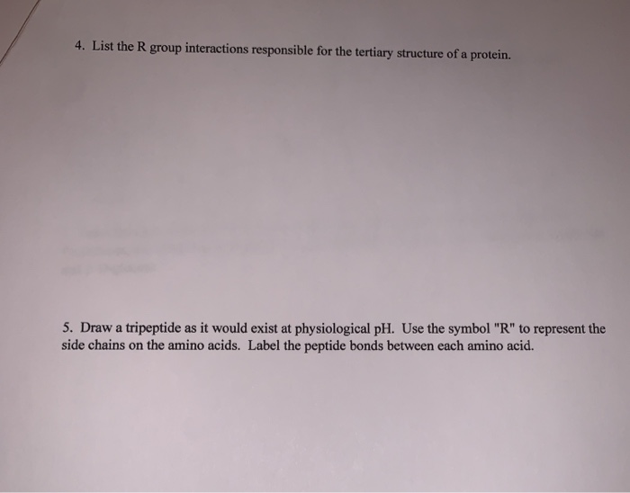 Solved 4. List the R group interactions responsible for the | Chegg.com