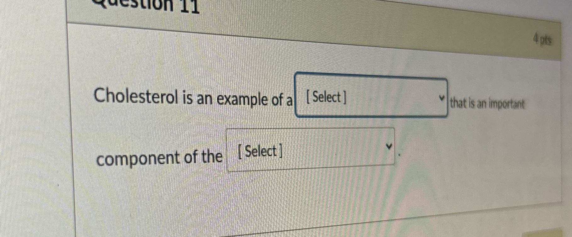 Solved Cholesterol is an example of athat is an | Chegg.com