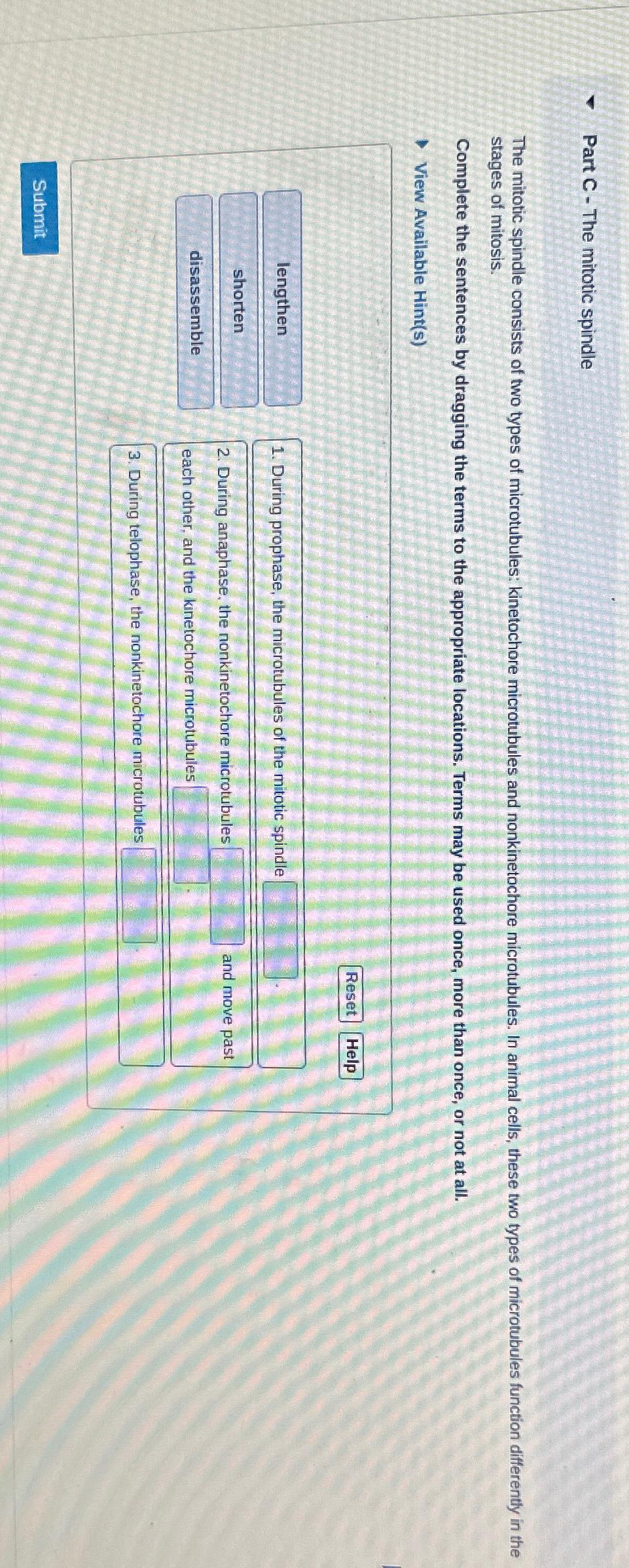 Solved Part C - ﻿The mitotic spindleThe mitotic spindle | Chegg.com