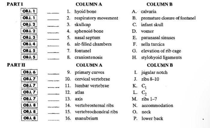 Solved PARTI COLUMN A COLUMN B \begin{tabular}{|c|} \hline | Chegg.com