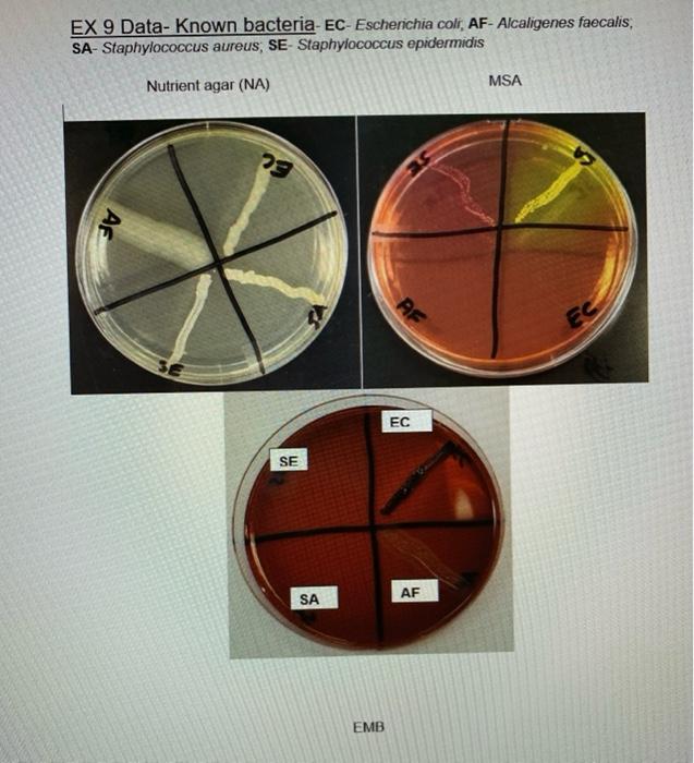 Solved Ex. 9 Special Media Data Sheet- TURN IN Complete the | Chegg.com