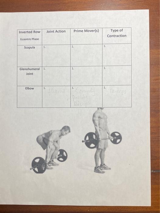 Solved Biomechanics Glass Practice Problems 1. Fill in the | Chegg.com