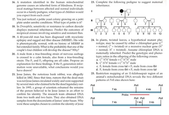 Solved 16. A mutation identified in the human mitochondrial | Chegg.com