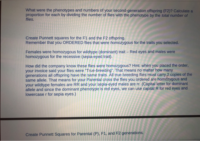 Solved Fruit Fly Genetics - Answer Sheet/ Worksheet | Chegg.com