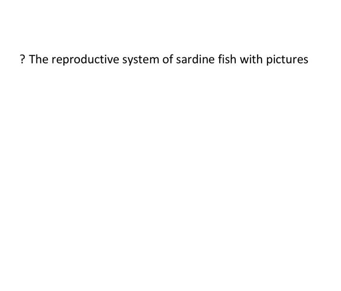 Solved ? The reproductive system of sardine fish with | Chegg.com