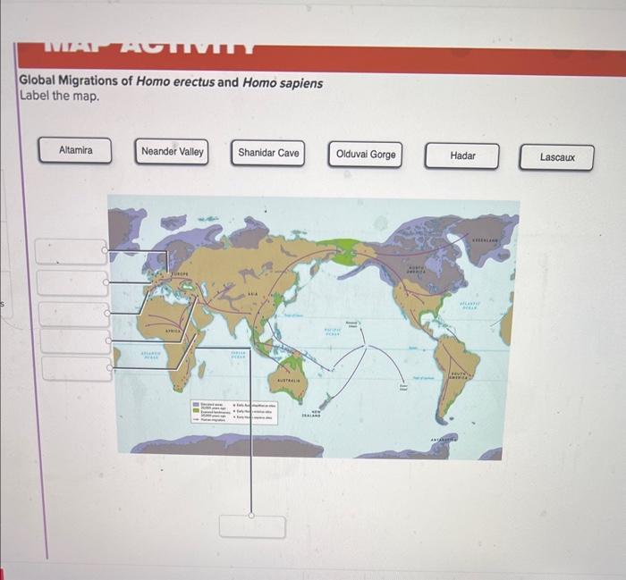 Global Migrations of Homo erectus and Homo sapiens | Chegg.com