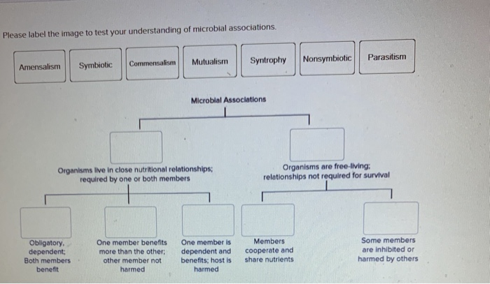 Solved Please label the image to test your understanding of | Chegg.com