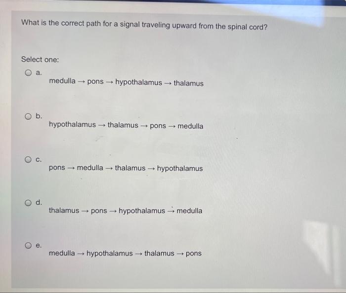 Solved What is the oldest and most primitive region of the | Chegg.com