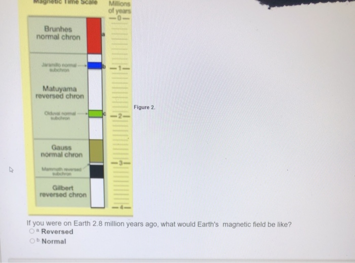 Solved Magnetic Time Scale Brunhes normal chron Matuyama | Chegg.com