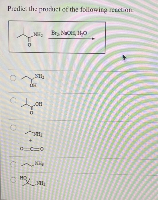 Solved Predict the product of the following reaction: NH2 | Chegg.com