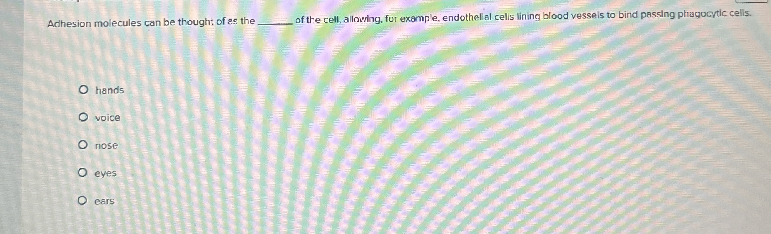 Solved Adhesion molecules can be thought of as the ﻿of the | Chegg.com