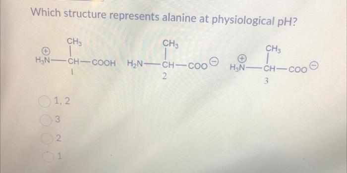 Solved Which structure represents alanine at physiological | Chegg.com