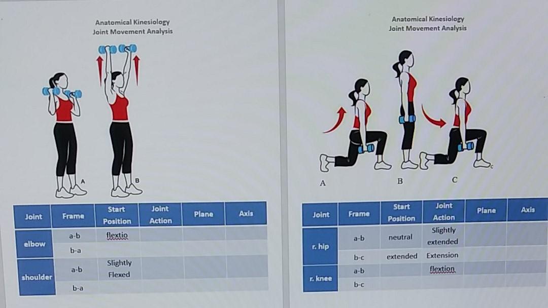 Solved Anatomical Kinesiology Joint Movement Analysis | Chegg.com