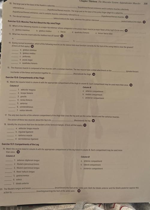 Solved Column A Columen B 1. extensor indicis a. anterioc | Chegg.com