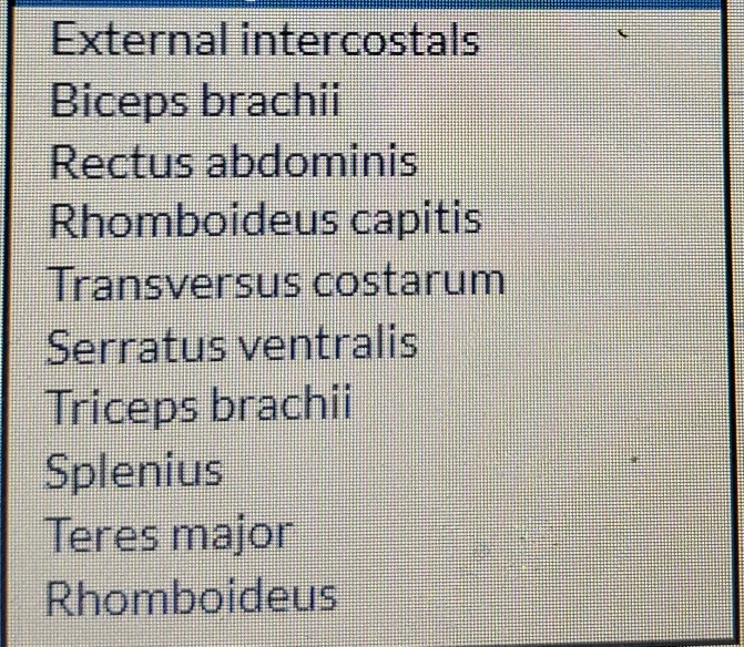 Solved Compress abdomen [Choose Draw sternum anteriorly | Chegg.com