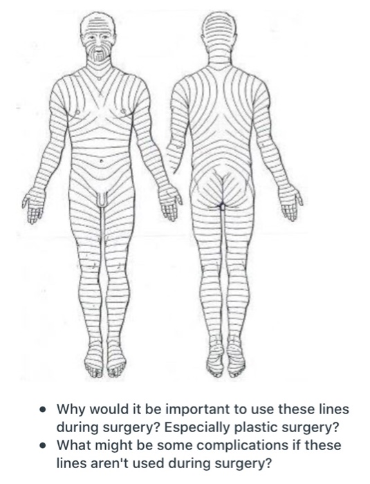 Solved • Why would it be important to use these lines during | Chegg.com