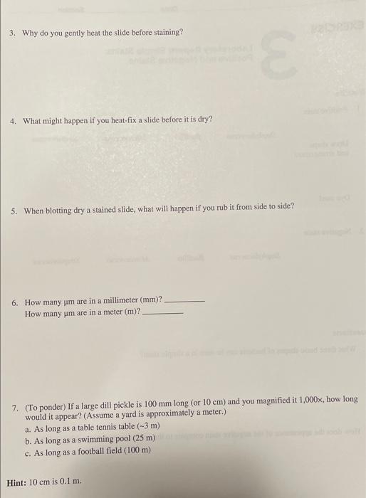 Solved Name Dote Section EXERCISE Laboratory Report: Simple | Chegg.com