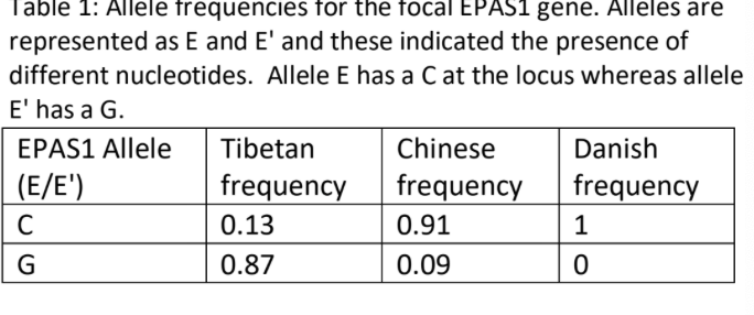 Solved Table 1: Allele frequencies for the focal EPAS1 | Chegg.com