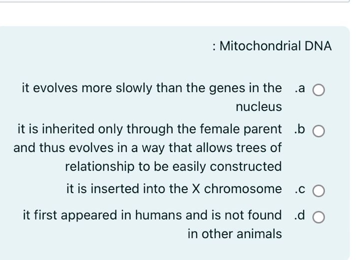 Solved : Mitochondrial DNAit evolves more slowly than the | Chegg.com