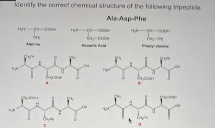 Solved Identify the correct chemical structure of the | Chegg.com