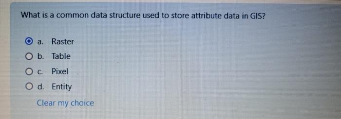 Solved In a raster dataset, what does each cell or pixel | Chegg.com