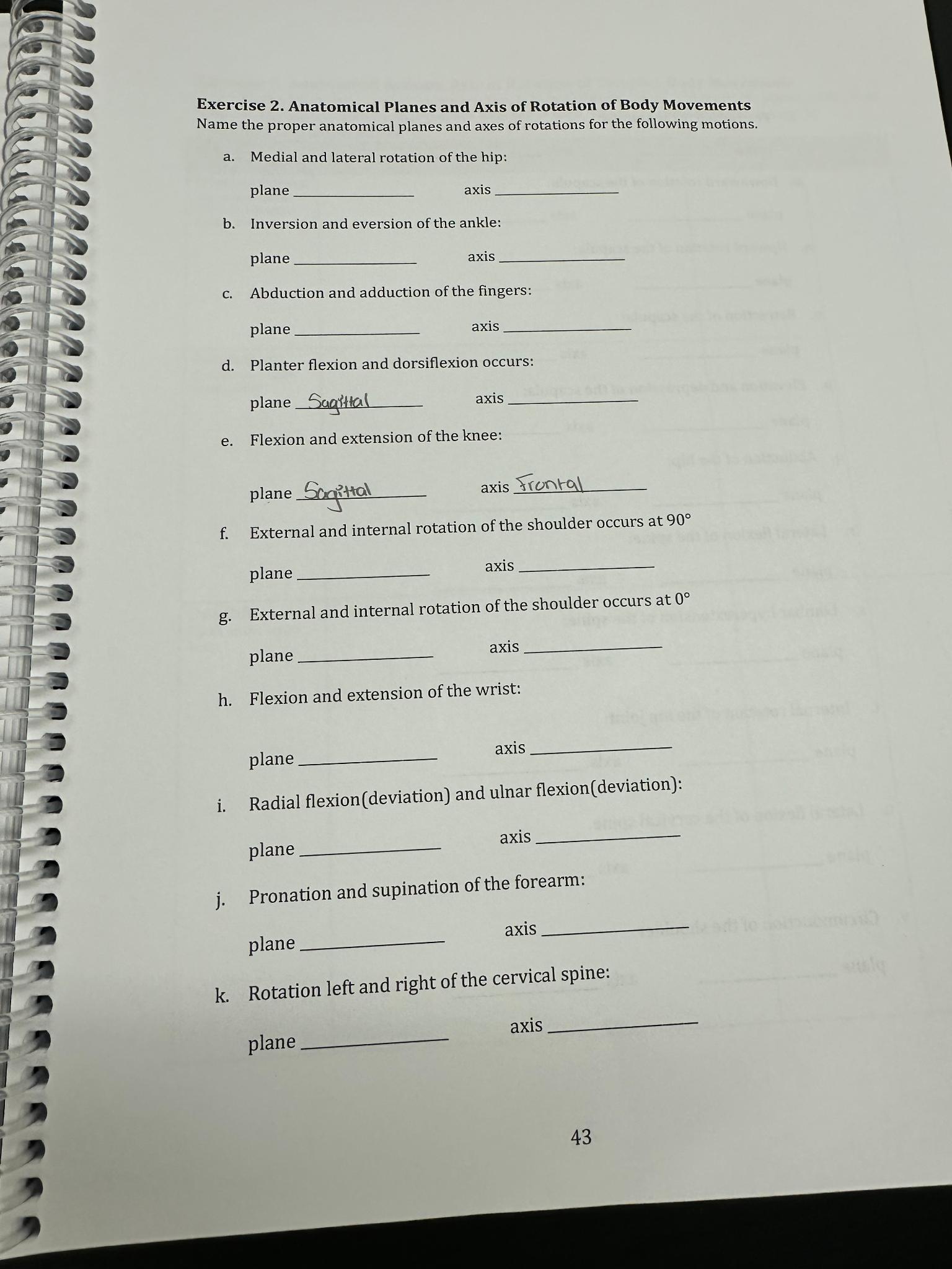 Solved Exercise 2. ﻿Anatomical Planes and Axis of Rotation | Chegg.com
