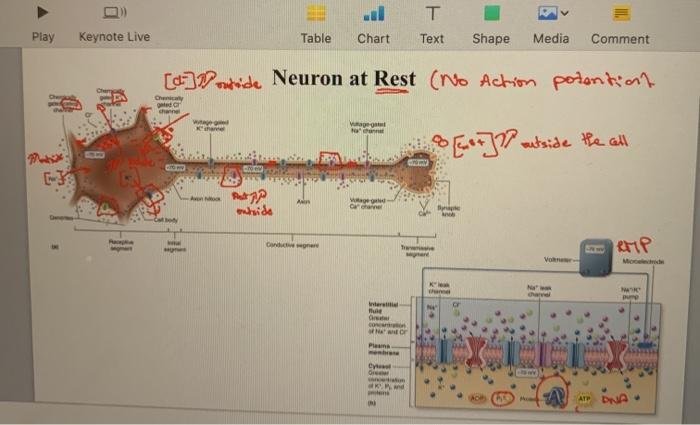 Solved distinguish between a pump and the 3 major types of | Chegg.com