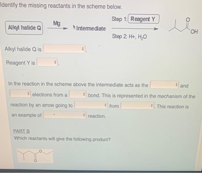 Solved Identify the missing reactants in the scheme below. | Chegg.com