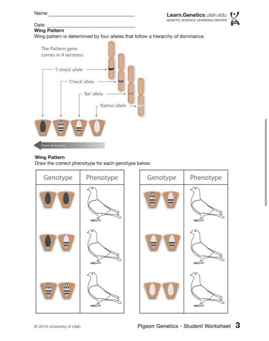 Name: TC Date: Answer the following. Use information | Chegg.com