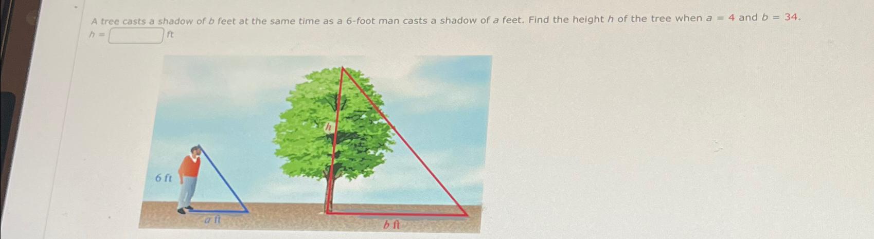 Solved A tree casts a shadow of b ﻿feet at the same time as | Chegg.com