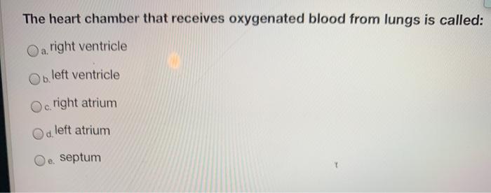Solved The heart chamber that receives oxygenated blood from | Chegg.com