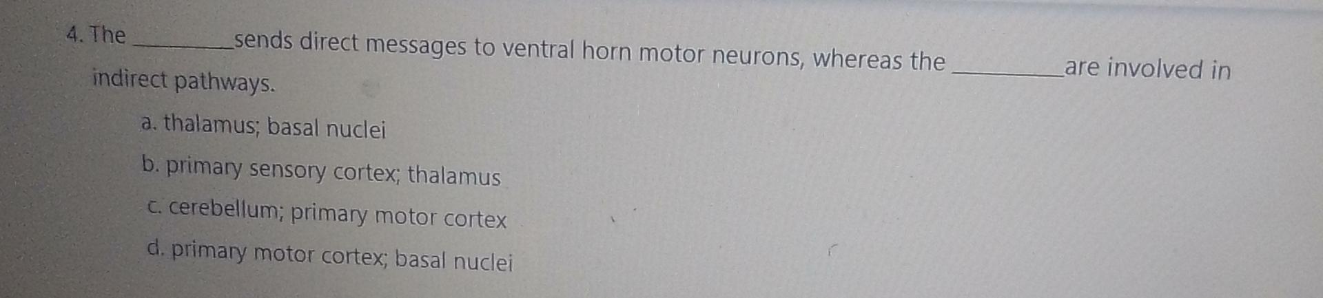 Solved The sends direct messages to ventral horn motor | Chegg.com