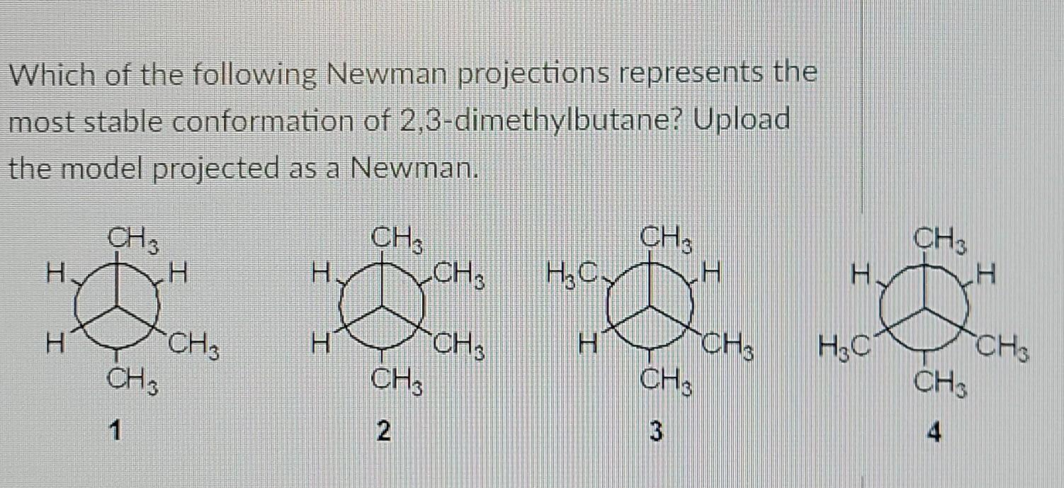 Solved Which of the following Newman projections represents | Chegg.com