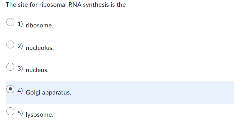 Solved The site for ribosomal RNA synthesis is | Chegg.com