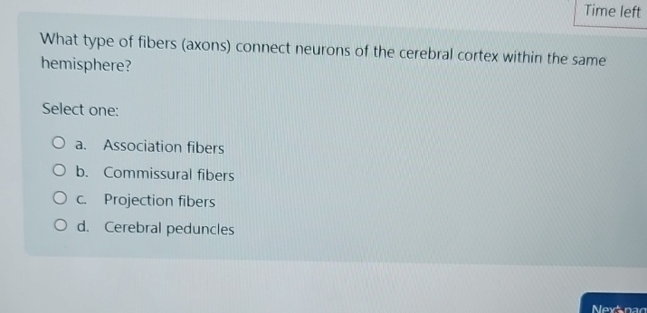 Solved Time leftWhat type of fibers (axons) ﻿connect neurons | Chegg.com
