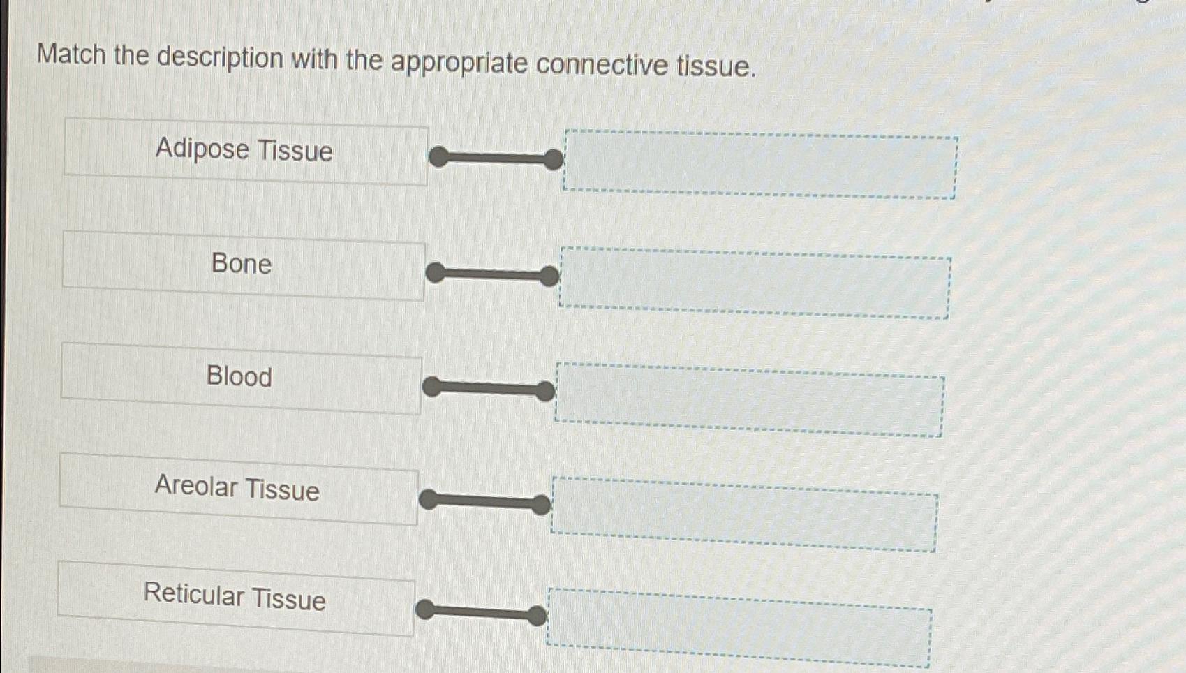 Solved Match the description with the appropriate connective | Chegg.com
