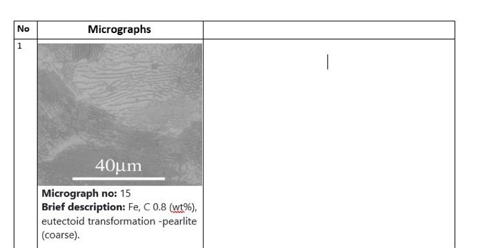 Solved 1- Explain how the microstructures of non-processed | Chegg.com