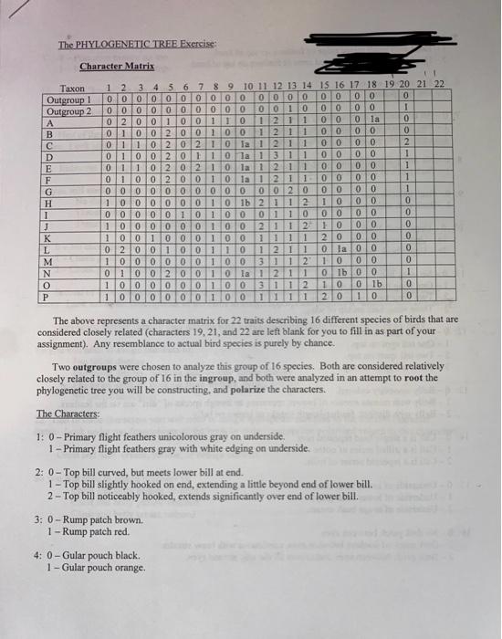 Solved The PHYLOGENETIC TRFE Exercise: Character Matrix The | Chegg.com
