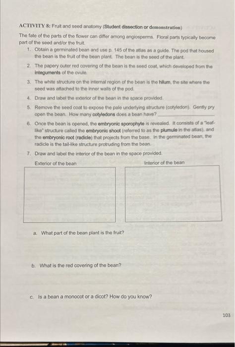 ACTIVITY 8: Fruit and seed anatomy (Student | Chegg.com